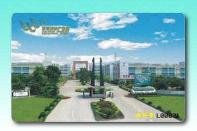 China TK4100+Gen2 series tag Inlay / ID+Gen2 dual-frequency Card / UHF+LF dual-frequency Card en venta