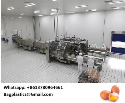 China 200L To 1000L Fully Automatic Egg Yolk Powder Egg Liquid Production Line Factory Direct Supply Wash Line for Goose Eggs, Duck Eggs, and Chicken Eggs - Egg Shell Washing Machine Egg Washing Machine for sale