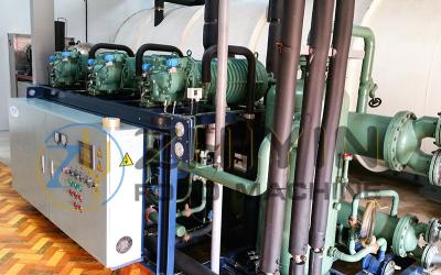 Κίνα Αυτόματη χαμηλού θορύβου μηχανή 70mm λυοφιλοποίησης φρούτων διάστημα ραφιών προς πώληση