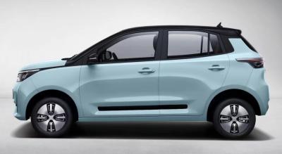 Chine la voiture électrique de 100km/H 35kw 4 pose le phosphate de fer de lithium de 5 portes 29.44kw/H LHD à vendre