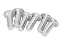 Quality 7/8 7/16 1/2 Aluminium Alloy Round head solid rivet Al 5052 Al 6061 Metal joint rivet for sale