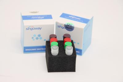 China Fluorescent Real Time HCV RT PCR Kit HSV2 Test Kit Laboratory Use CE for sale