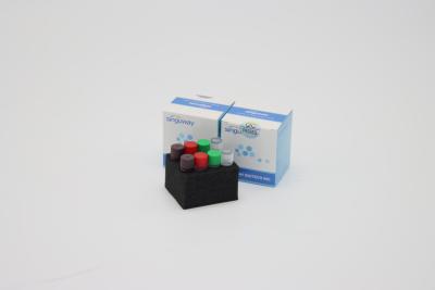 Cina Rilevazione difficile genetica Kit With ISO9001 ISO13485 di PCR del DNA del virus della rabbia in vendita