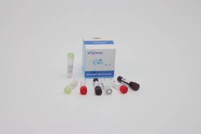 Cina Rilevazione Kit Nucleic Acid Genetic Testing di PCR di ORF1ab HPV per la diagnosi clinica in vendita