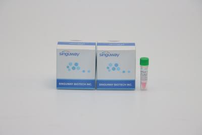 Cina Pilori rapidi HP di PCR Kit Lab Reagent For Helicobacter di RT di punto di alta precisione un in vendita