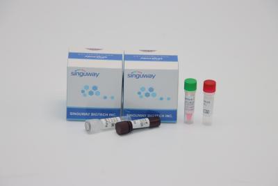 Cina Fluorescenza che sonda prova dell'adenovirus di ADV di Kit Nasal Swab Sample For di rilevazione di PCR in vendita