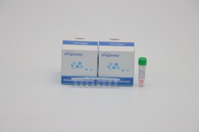 Cina DNA del corredo di rilevazione di PCR di TB di mycobacterium tuberculosis del laboratorio POCT IVD che prova ISO9001 in vendita