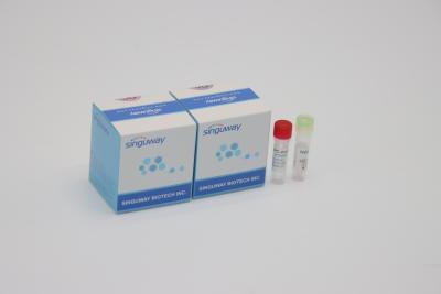 Cina Corredo fluorescente quantitativo IVD di rilevazione di PCR per tutta la Corona Virus Mutations in vendita