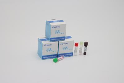 Cina Alto laboratorio di Kit Alpha Beta Delta Gamma Mutations For di rilevazione di PCR di sensibilità facendo uso di in vendita