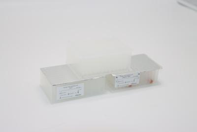 Cina Copie/ml acido nucleico di Kit Supernatants 10 di isolamento del DNA del RNA di totale del CE in vendita