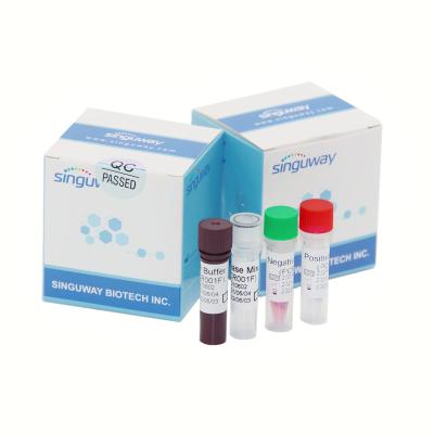 Cina Rilevazione nasale Kit Molecular Diagnostic Test di PCR di mutazione di Covid Omicron del tampone in vendita