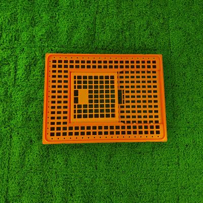 Chine Cages de transport de volailles de poids léger en jaune et blanc, assemblage facile pour les élevages de poulets à vendre