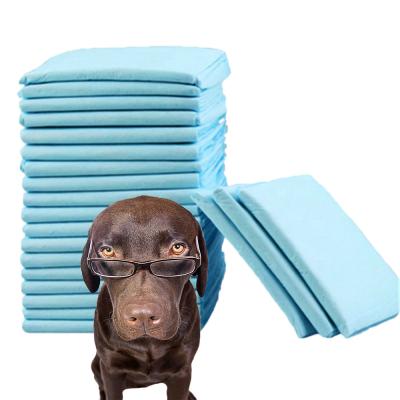 Cina 600X350mm pannolino impermeabile per animali da compagnia per l'addestramento alle pisciole dei cani in materiale in fibra in vendita