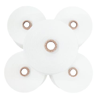 Cina 100% di viscosa vergine Ne30/1 Siro Compact Spun Yarn per tessitura e maglieria in vendita