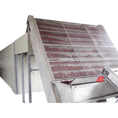 Cina Strato a un solo strato 10 degli essiccatori continui della cinghia di fonte di calore di energia dell'aria multi a 40KW in vendita