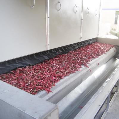 Cina Riscaldamento di circolazione dell'aria calda delle date della cinghia dell'impianto di essiccazione di controllo a più strati dello SpA in vendita