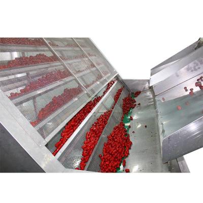 Cina 0,2 alla frutta rossa di riciclaggio vapore-aria di Mesh Belt Dryer Machine For delle date 0.5mPa in vendita