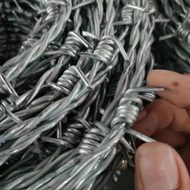 Barbed wire product sample 1