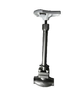 SS304 Cryogenic Globe Valve DN10-DN100 -196°C to +80°C LOX LIN LNG LAR