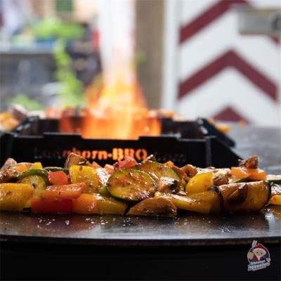 중국 휴대용 피자 오븐 코튼 스틸 BBQ 그릴 야외에서 쉽게 조립 판매용