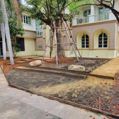 Κίνα χορτοτάπητας 3.2ft Corten που ακονίζει 1.6mm σύνορα χάλυβα Corten 6 ίντσας προς πώληση