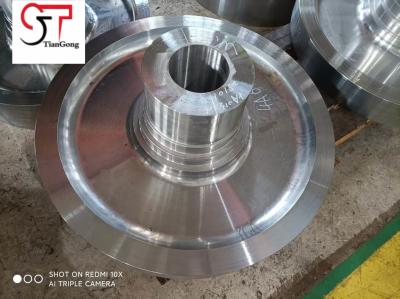 China Custom Machined Forged Steel Flanges For Marine Engineering Equipment And Offshore Platforms for sale