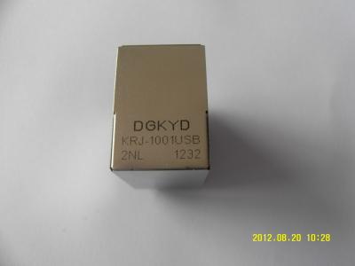 Cina La rete RJ45 Jack con il trasformatore, doppio USB ha registrato il singolo porto di Jack 45 in vendita