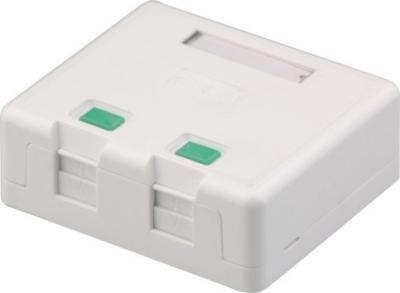 Cina Rj45 Cat5e/CAT6 home network Jack trapezoidale per Ethernet o il telefono in vendita