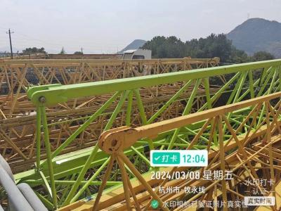 중국 7-20 일일 배달 GS 인증 타워 크레인 Zoomlion Xc Mg 및 다른 브랜드 판매용