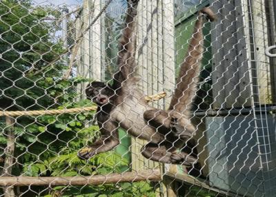 Cina Cavo d'acciaio flessibile Mesh Netting For Zoo Cages del puntale del cavo metallico dell'estremità ss dell'occhiello in vendita