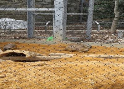 Китай Веревочка нержавеющей стали приложения Aviary птицы AISI 304 заказная цепляет 30x30mm для зоопарка продается