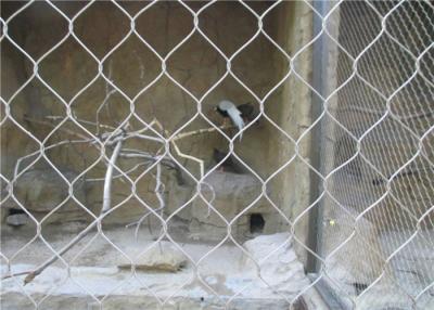 Cina Uccelliera di acciaio inossidabile 316 che cattura con la rete uccello flessibile per gli animali in zoo in vendita