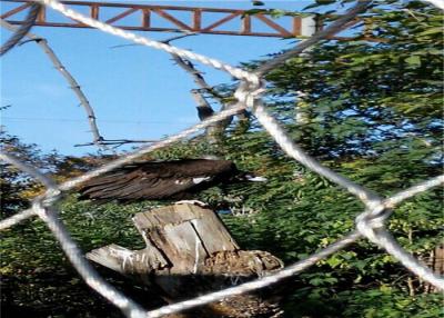 Cina Uccelliera di acciaio inossidabile 316 che cattura con la rete uccello flessibile per gli animali in zoo in vendita