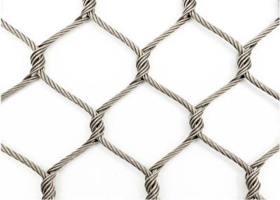 China Drahtseil-Gitter-Anlage der Trauben-7*19, die grünes Drahtseil Mesh Netting 150x150mm klettert zu verkaufen