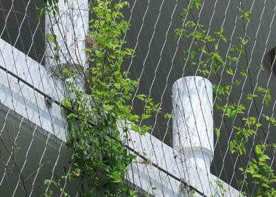 Cina Cavo flessibile Mesh Metal For Green Wall di acciaio inossidabile del traliccio 1.5mm della pianta dello scalatore in vendita