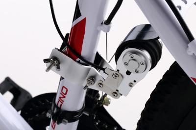 Cina Generatore senza spazzola trifase 5V 8W della dinamo della bicicletta di CA per Smartphone nel giro lungo in vendita