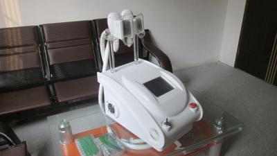 Cina Attrezzatura grassa fresca di congelamento grassa di perdita di Cryolipolysis di 2 maniglie di Cryo in vendita