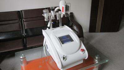 Cina Maniglie esili della macchina 4 dell'ente grasso della gelata del peso di perdita di Cryolipolysis con 40KHz la cavitazione rf in vendita