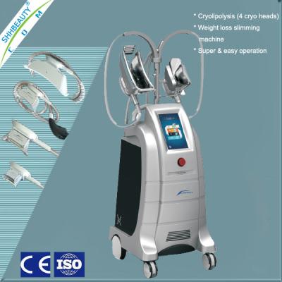 Cina Cryolipolysis di congelamento grasso verticale in vendita