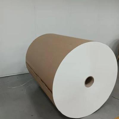Chine Rouleau de papier couché PLA écologique pour solutions d'emballage alimentaire à vendre