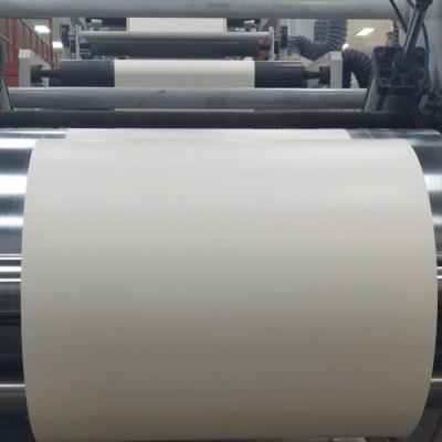 Chine Rouleau de papier couché PLA écologique pour solutions d'emballage alimentaire à vendre
