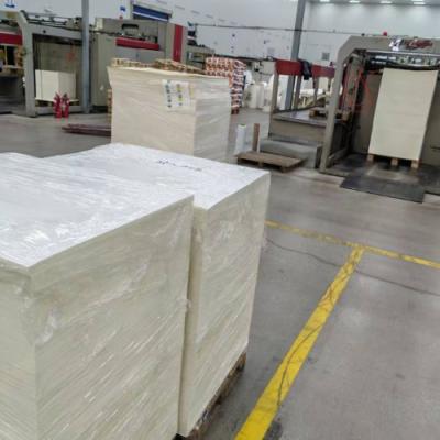 China Heat Insulation Custom designed Hot Sales Raw Material Manufacture Single Double PE Coated Paper Cup Sheet for sale
