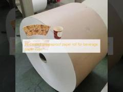PE Coated greaseproof paper roll for beverage paper cups
