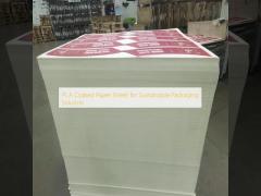 Feuille de papier couchée PLA pour une solution d'emballage durable