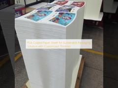 Feuille de papier enduit de PLA pour une solution d'emballage durable avec des épaisseurs personnalisées