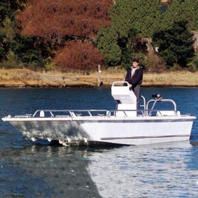 China Factory Mass Production Commercial Aluminum Fishing Boats Aluminum Hull Fishing Boats Boats Fishing and Passenger for sale
