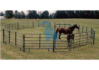 Cina Il recinto per bestiame portatile quadrato del cavallo riveste il portone di pannelli, pannelli rotondi della penna cavallo di verde/dell'argento in vendita