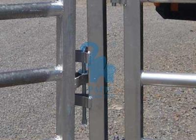 Cina Il recinto rigido del recinto per bestiame riveste i portoni di pannelli del recinto del bestiame per l'azienda lattiera in vendita