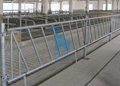Cina Bestiame che alleva chiudendo le prese di testa a chiave animali delle barriere dell'alimentazione per il bestiame in vendita