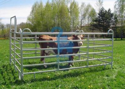 Cina Pannelli portatili galvanizzati del recinto del bestiame, pannelli d'acciaio del recinto del cavallo della metropolitana per l'azienda lattiera in vendita